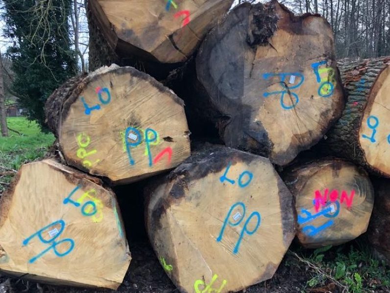 Timber Supply – Timber agency with three family generations of ...